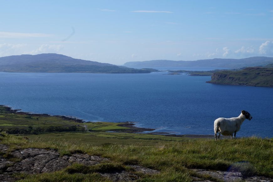 The Isle of Mull, Scotland: Wildly Beautiful & completely underrated
