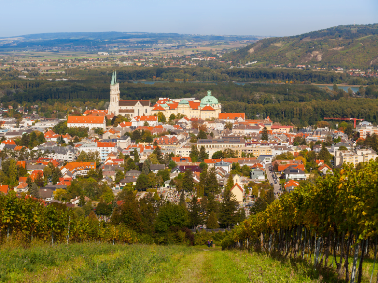 Wine Tours in Vienna | Sip Your Way Across Vienna's Vineyards