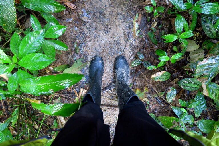 What to Pack for the Amazon Rainforest: Ultimate Packing List!